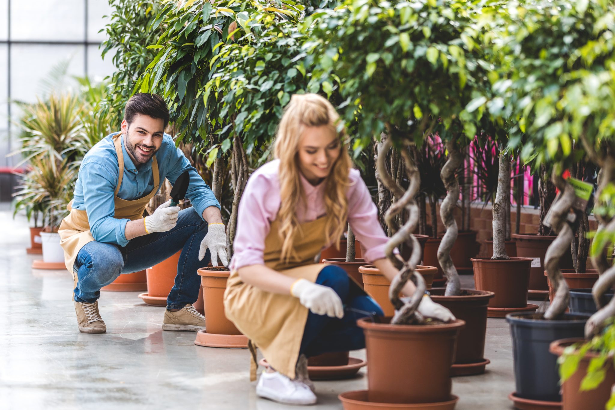 New Leaf Eco – Commercial Tree Planting Carbon Offset Wigan, Lancashire ...